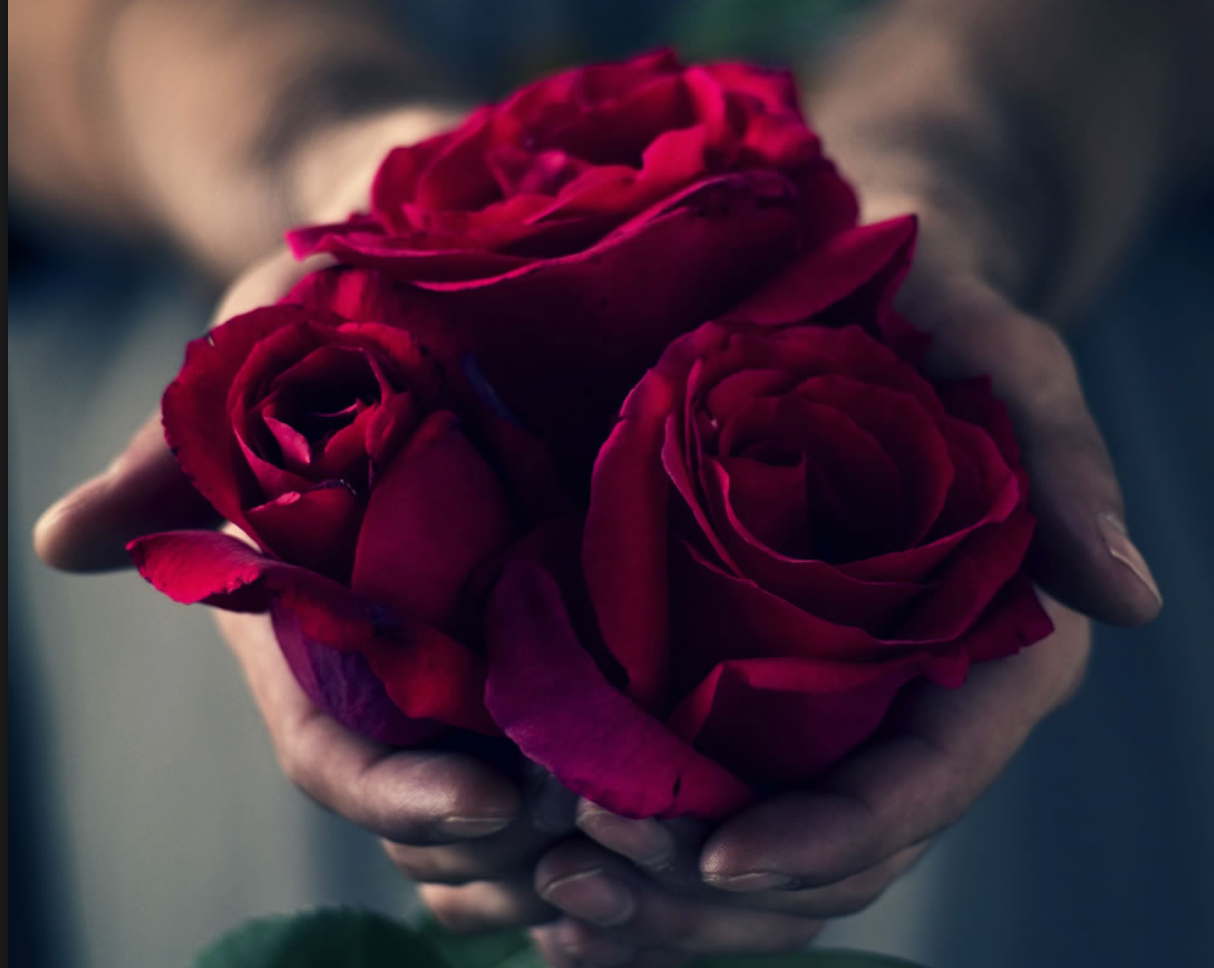 Ceremony Ideas For Your Official Collaring – Eternity